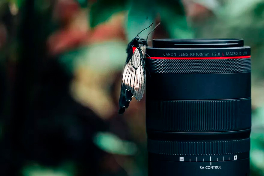 Canon RF 100mm f/2.8 L MACRO IS USM | Canon objektívy | FOTO-VIDEO-SHOP